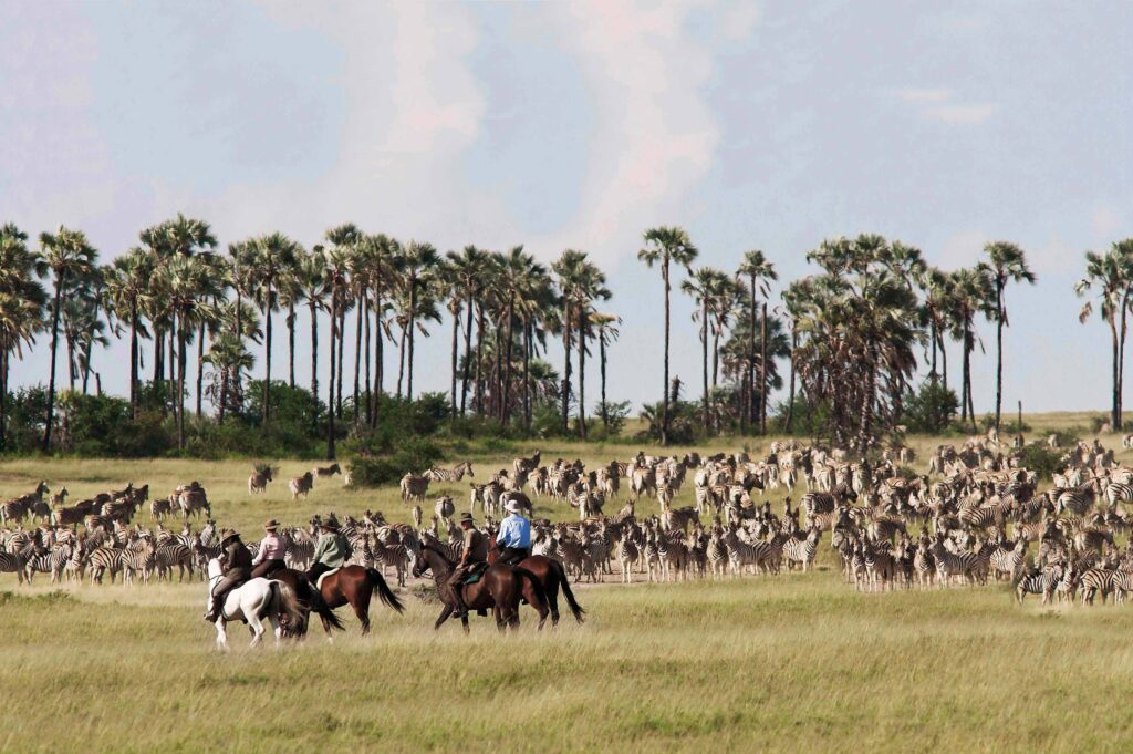 Camp Kalahari - Okavango Delta